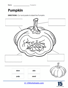 Pumpkins Worksheets | Orange Harvest Gourd Theme - 15 Worksheets.com