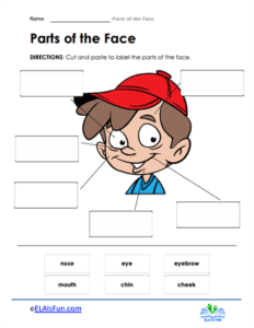 Parts of the Face Worksheets | Preschool - 15 Worksheets.com