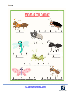 Insects Worksheets - 15 Worksheets.com