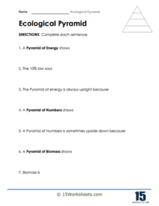 Ecological Pyramid Worksheets - 15 Worksheets.com
