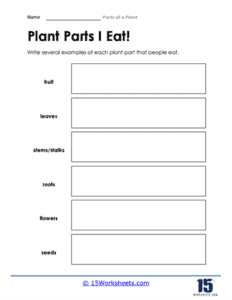 Parts of a Plant Worksheets | Life Science - 15 Worksheets.com