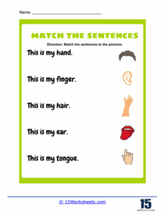 Match the Sentences Worksheets | Pair Together Meanings - 15 Worksheets.com