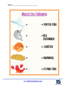 Ocean Animals Worksheets | Life Science - 15 Worksheets.com