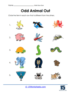 Odd One Out Worksheets - 15 Worksheets.com