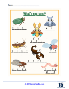 Insects Worksheets - 15 Worksheets.com