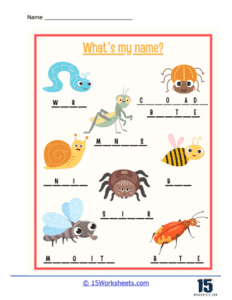 Insects Worksheets - 15 Worksheets.com