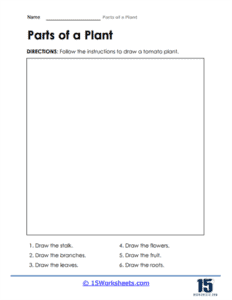 Parts of a Plant Worksheets | Life Science - 15 Worksheets.com