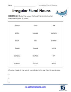 Irregular Plural Nouns Worksheets | Rules, Patterns & Changing - 15 ...