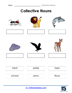 Collective Nouns Worksheets | Bundle Group Terms - 15 Worksheets.com