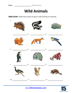 Wild Animals Worksheets | Nature Learning - 15 Worksheets.com