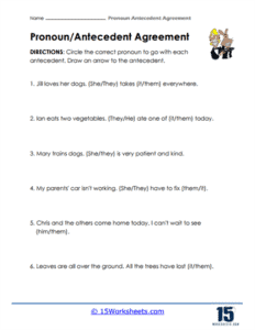 Pronoun Antecedent Agreement Worksheets | Grammar Practice - 15 ...