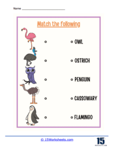 Animal Names Worksheets - 15 Worksheets.com