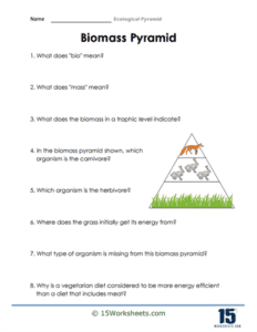 Ecological Pyramid Worksheets - 15 Worksheets.com