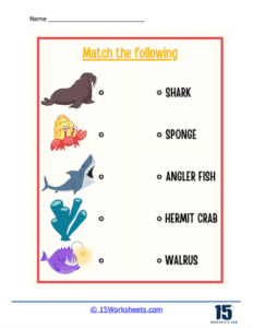 Ocean Animals Worksheets | Life Science - 15 Worksheets.com
