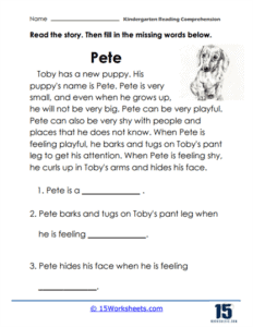 Kindergarten Reading Comprehension Worksheets | Helps Early Literacy