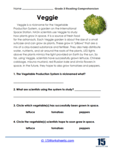 Grade 3 Reading Comprehension Worksheets - 15 Worksheets.com