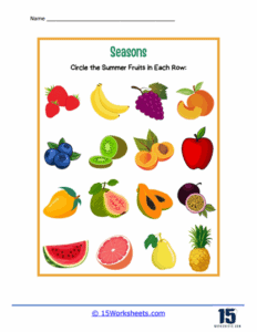 Seasons Worksheets | Seasonal Changes - 15 Worksheets.com
