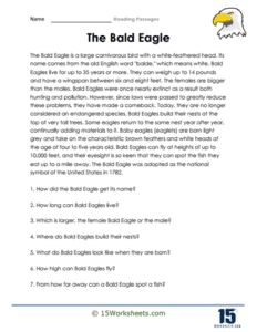 Reading Passages Worksheets | Story & Narrative Practice - 15 ...