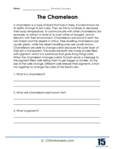 Reading Passages Worksheets | Story & Narrative Practice - 15 ...