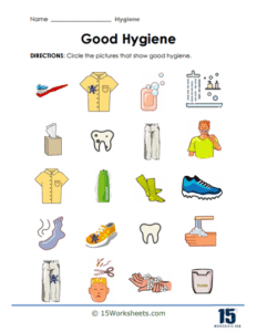 Personal Hygiene Worksheets | Life Skills - 15 Worksheets.com