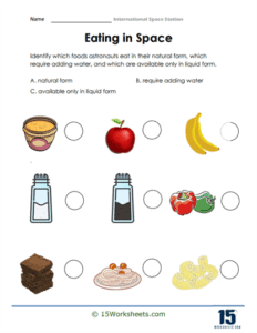 International Space Station Worksheets | ISS Missions - 15 Worksheets.com