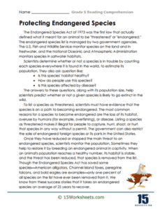 Grade 5 Reading Comprehension Worksheets - 15 Worksheets.com