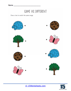 Same vs. Different Worksheets | Comparisons - 15 Worksheets.com