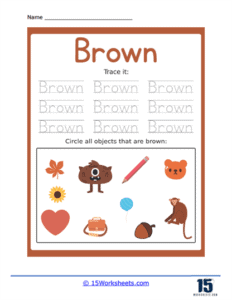 The Color Brown Worksheets | Color Learning - 15 Worksheets.com