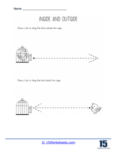 Inside or Out Worksheets - 15 Worksheets.com
