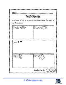 The Five Senses Worksheets - 15 Worksheets.com