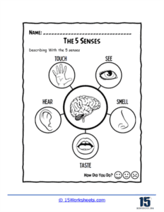The Five Senses Worksheets - 15 Worksheets.com