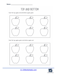 Top or Bottom Worksheets | Positional Vocabulary - 15 Worksheets.com