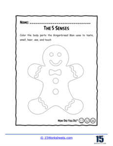 The Five Senses Worksheets - 15 Worksheets.com