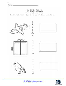 Up or Down Worksheets | Position Usage and Context - 15 Worksheets.com