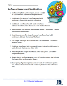 Measurement Word Problems Worksheets - 15 Worksheets.com