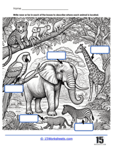 Near or Far Worksheets - 15 Worksheets.com