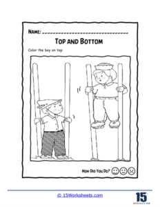 Top or Bottom Worksheets | Positional Vocabulary - 15 Worksheets.com