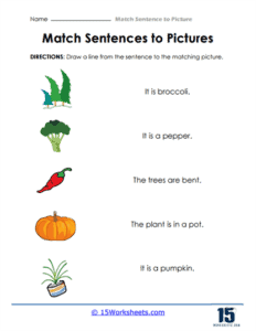 Picture Sentences Worksheets | Kindergarten - 15 Worksheets.com