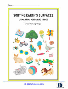 Sorting and Categorizing Worksheets | Group and Organize - 15 ...