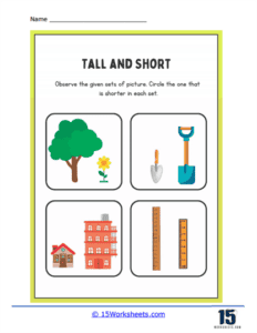 Sorting and Categorizing Worksheets | Group and Organize - 15 ...