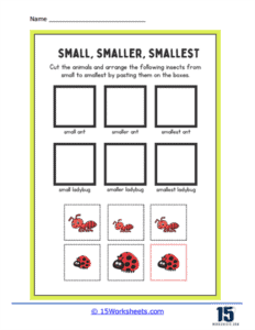 Sorting and Categorizing Worksheets | Group and Organize - 15 ...