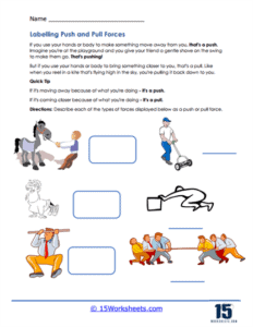Forces and Motion Worksheets - 15 Worksheets.com