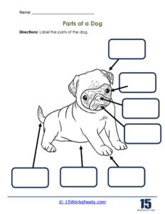 Animals Worksheets - 15 Worksheets.com