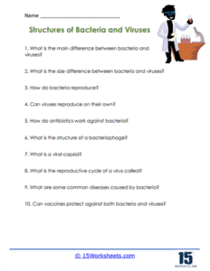 Bacteria and Viruses Worksheets - 15 Worksheets.com