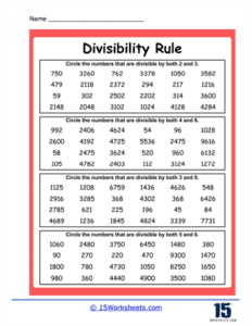 Divisibility Rules Worksheets - 15 Worksheets.com