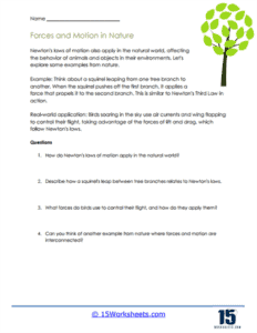 Newton's Laws of Motion Worksheets - 15 Worksheets.com