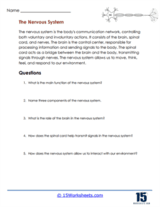 Human Body Systems Worksheets - 15 Worksheets.com