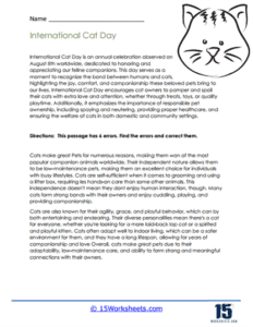 August Everyday Edits Worksheets | Summer Supplements - 15 Worksheets.com