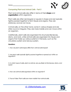 Plant Cells Worksheets | Life Sciences - 15 Worksheets.com
