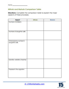 Mitosis and Meiosis Worksheets